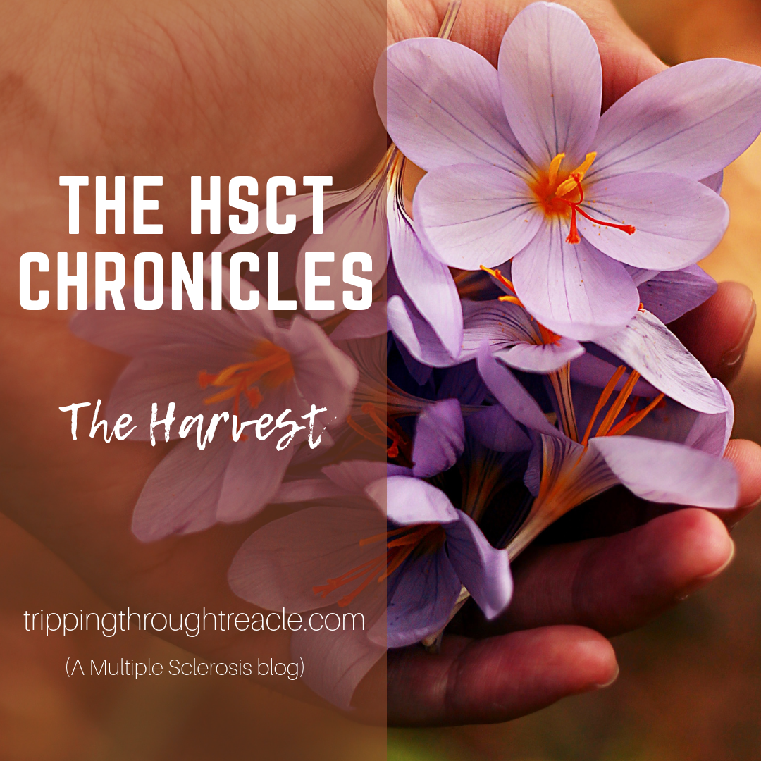 The HSCT Chronicles: The Harvest
