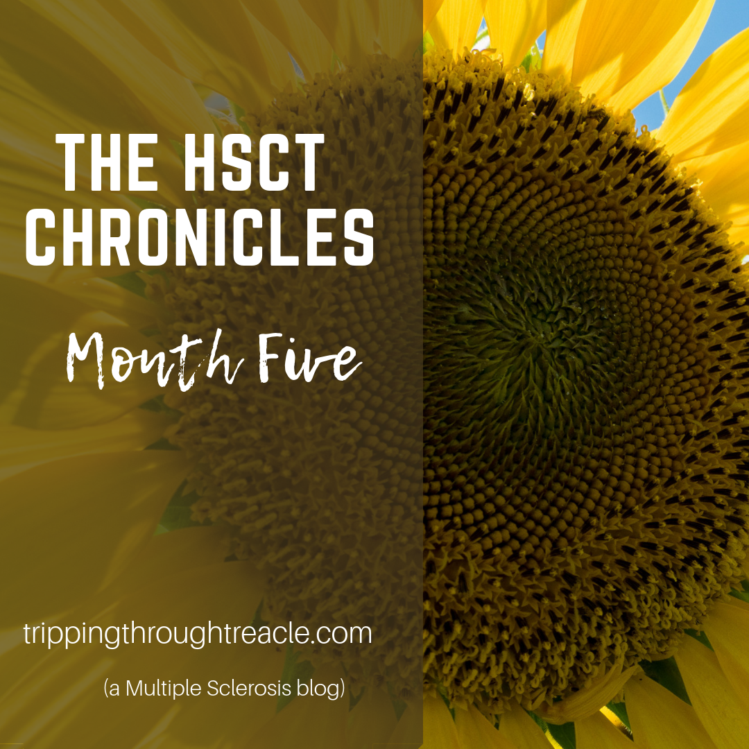 The HSCT Chronicles: Month Five